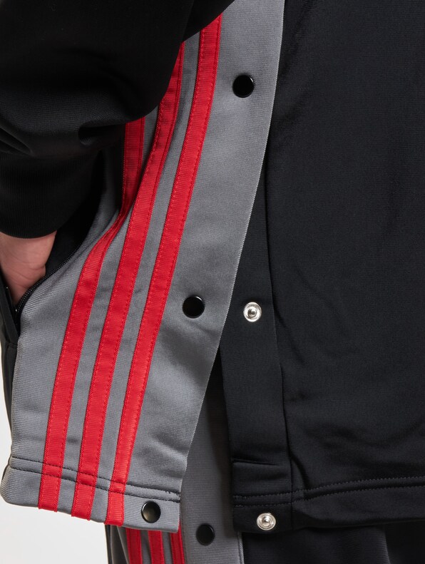 adidas Originals Adicolor | DEFSHOP | 99739