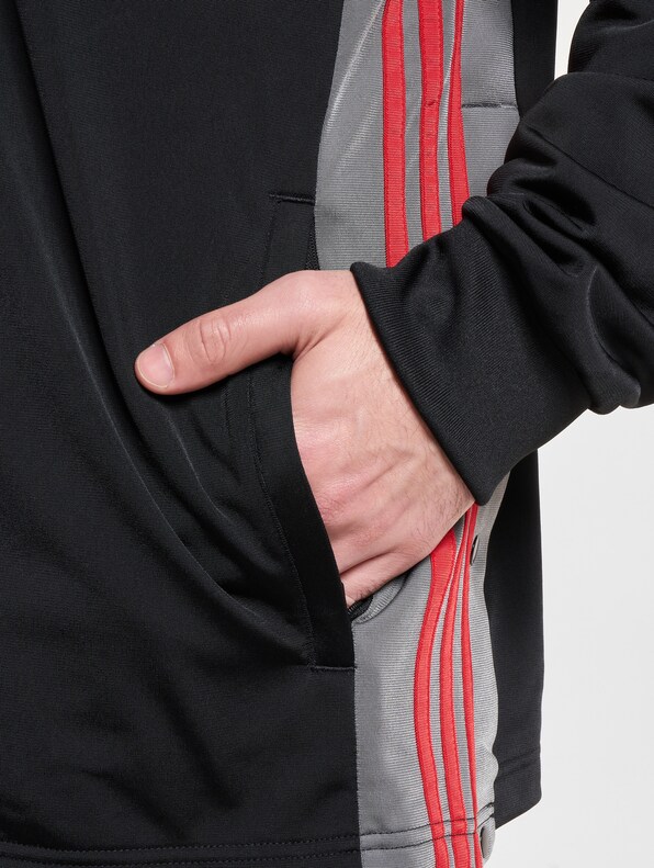 adidas Originals Adicolor | DEFSHOP | 99739